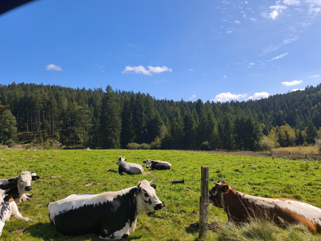 BIENVENUE A LA FERME AUTOMNE A LA FERME : plongez au coeur des fermes ...
