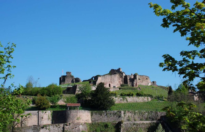 Visitez le château d’Epinal et son site ! - Epinal Info