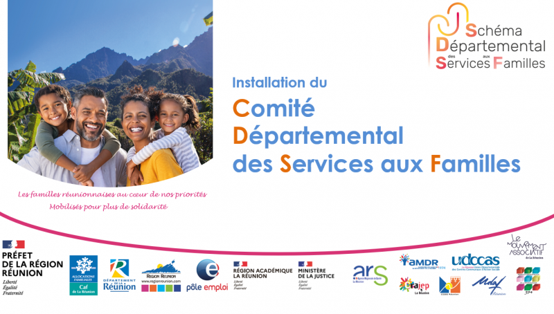 Vosges – Installation du nouveau Comité Départemental des Services aux ...
