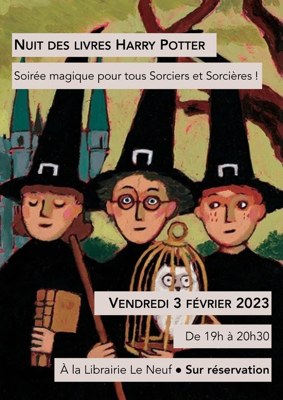 La Librairie Le Neuf fête les 25 ans de Harry Potter - Saint Die Info