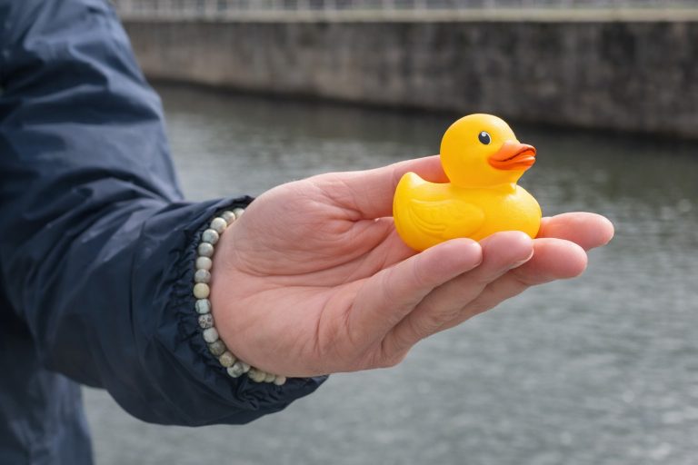 20 000 canards et 25 000 euros de lots sur la ligne de départ de la ...