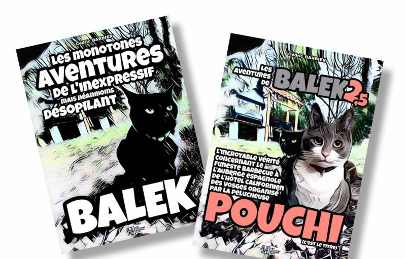 Balek, le chat noir vosgien mono-expressif revient… et il n’est pas ...
