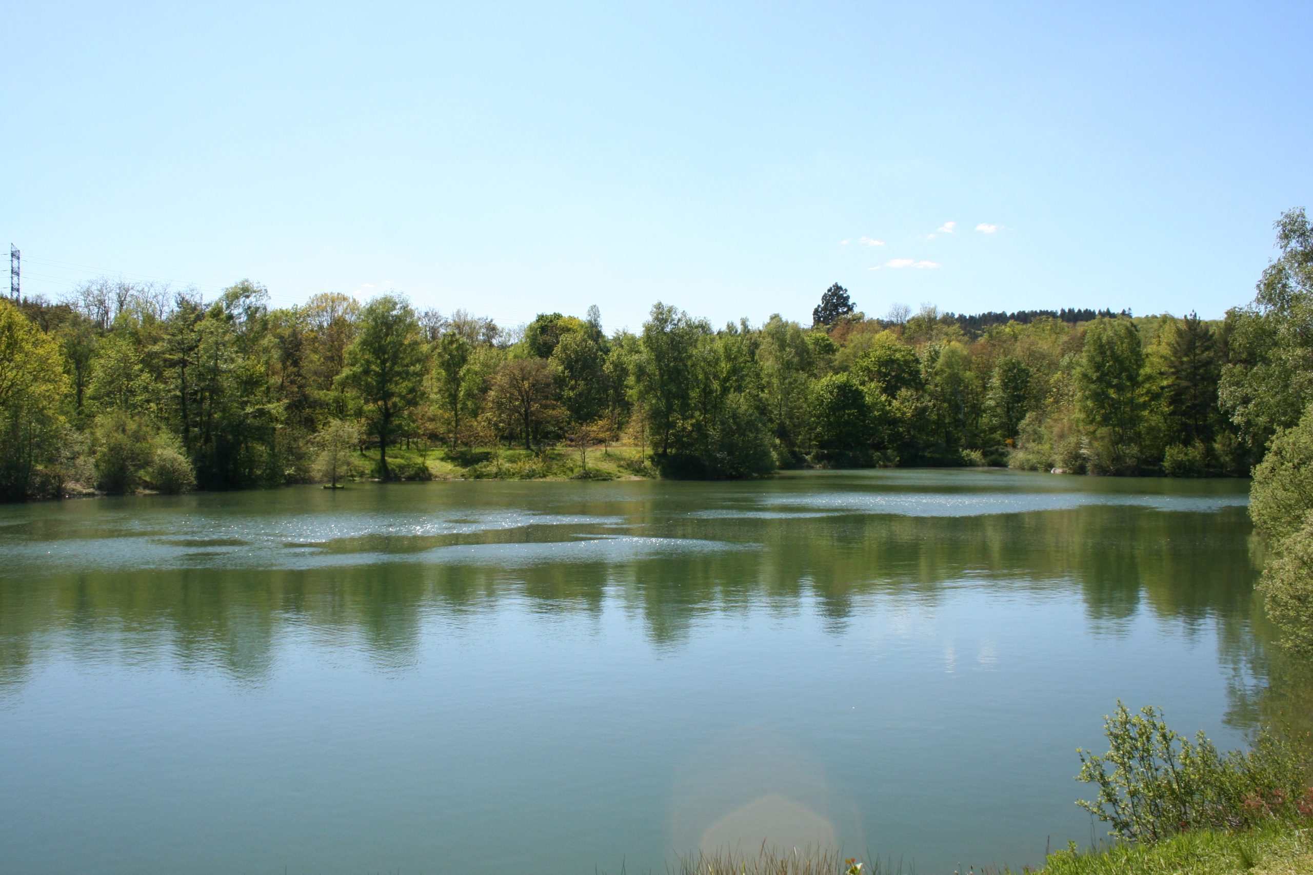 Le corps sans vie de Jean-Paul Grosdidier découvert à l'étang du Chêna ...